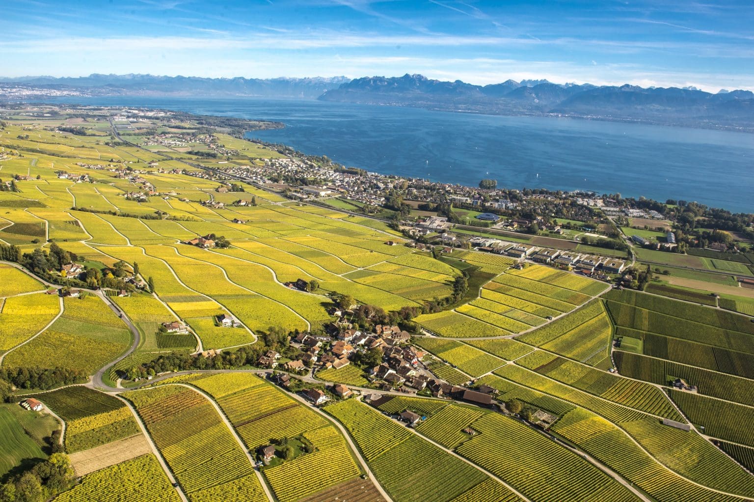 HOME - Région de Nyon